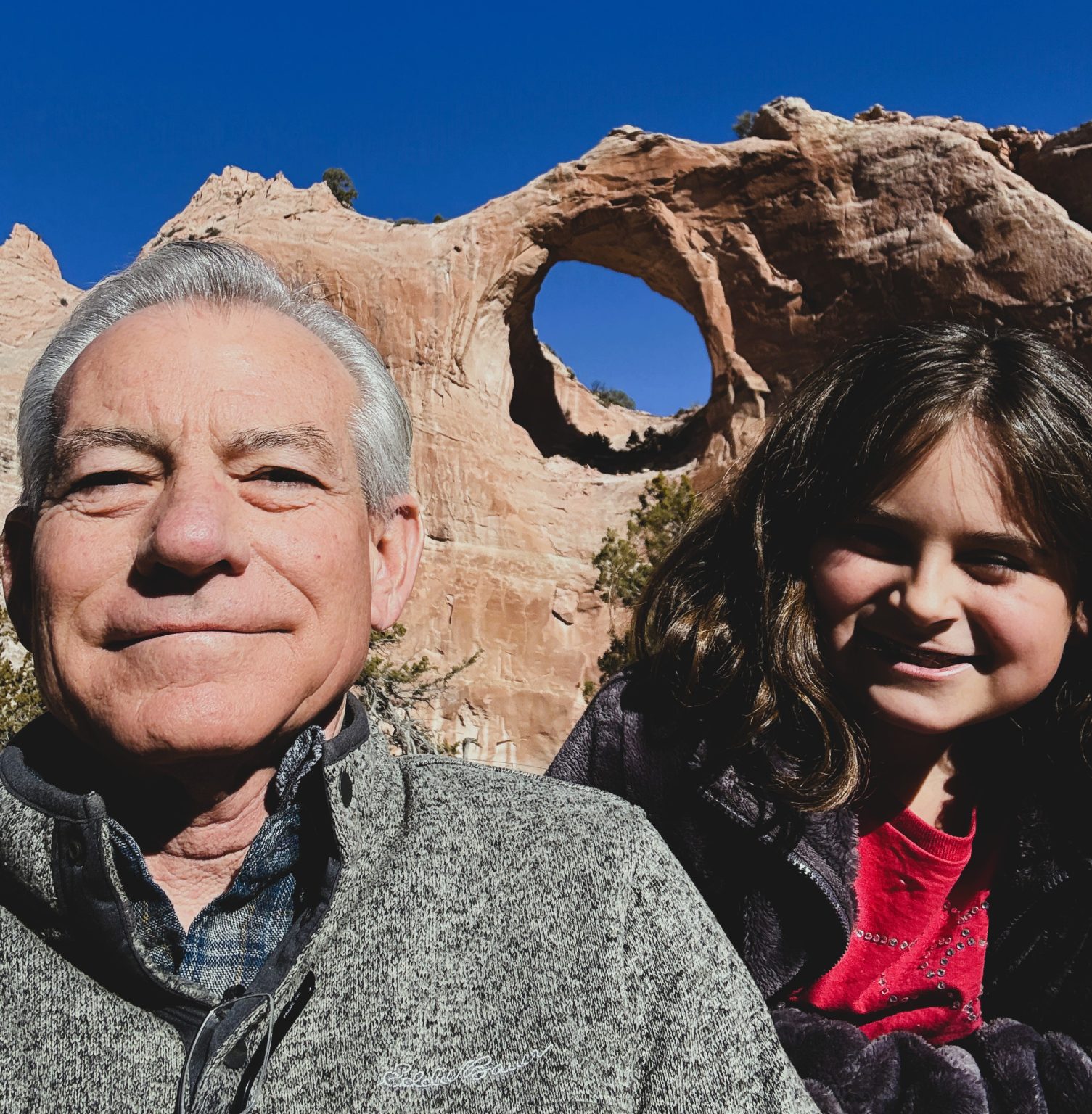 Official Biography – Congressman Schweikert